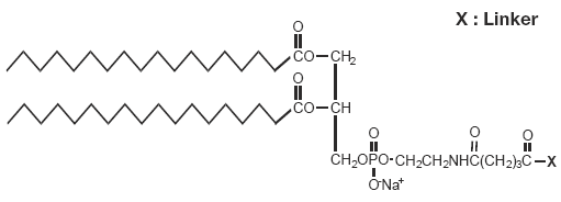 3-2. New hydrophilic phospholipid derivatives | Phospholipids